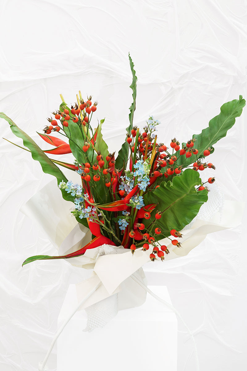 HOUSE – THIS HUMID HOUSE