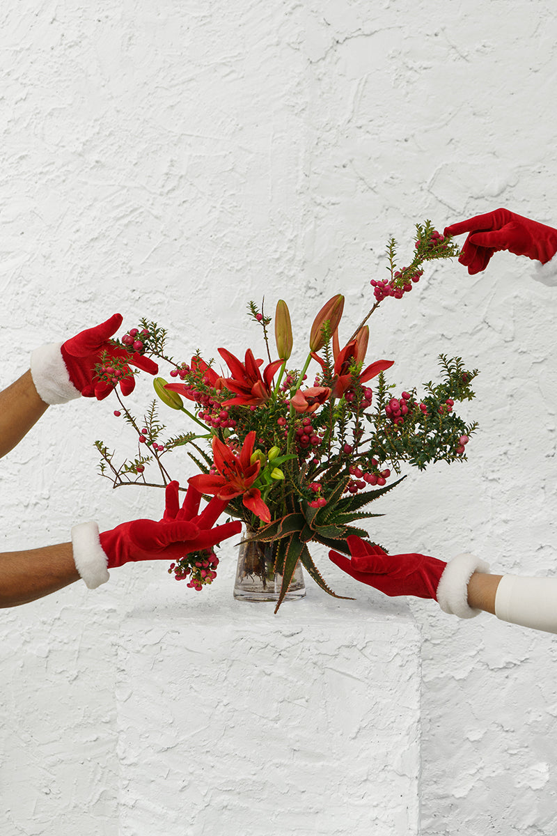 BELLA – THIS HUMID HOUSE